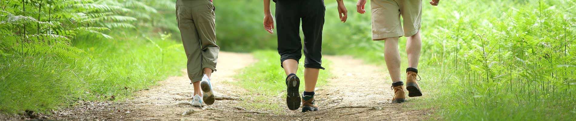 Excursions - Découvrez les endroits où faire des excursions à Marseille ...