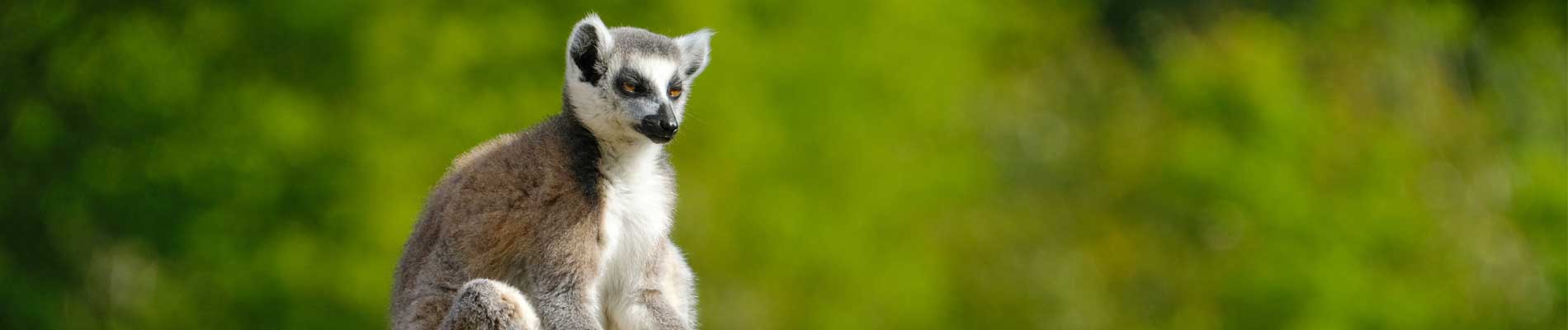 Parc animalier - Localisez les parcs animalier autour de Marseille ...